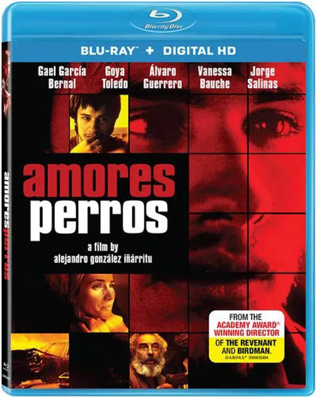 Amores Perros ne adam wata