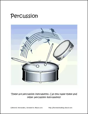 Percussion Instruments رنگين صفحو