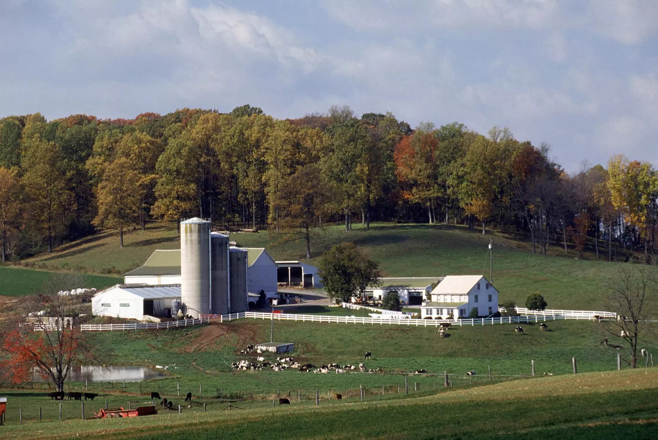 Zergatik deitzen zaie askotan Pennsylvaniako alemaniar holandarrei