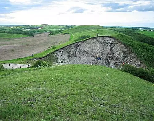 Піщані змії