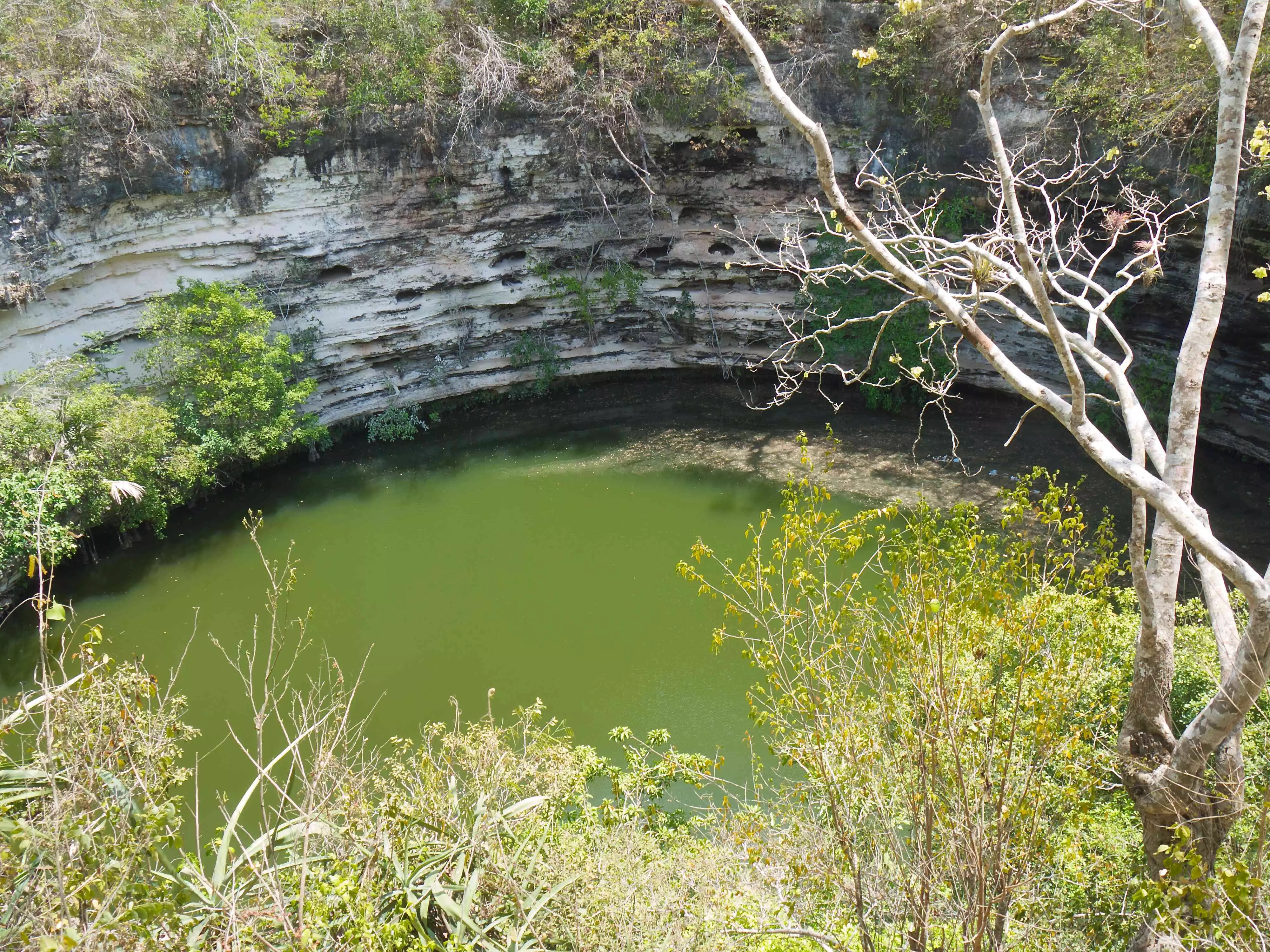 Cenote ដ៏អស្ចារ្យនៅ Chichen Itza