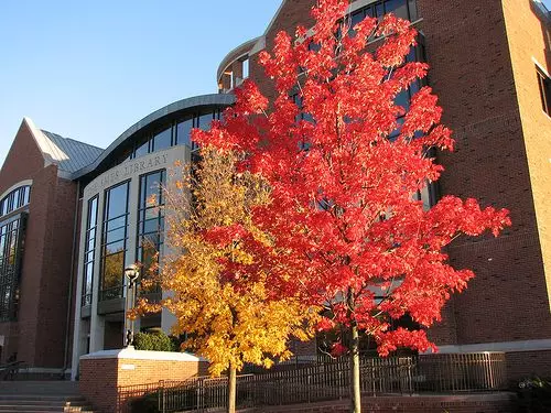 Université Wesleyan de l'Illinois