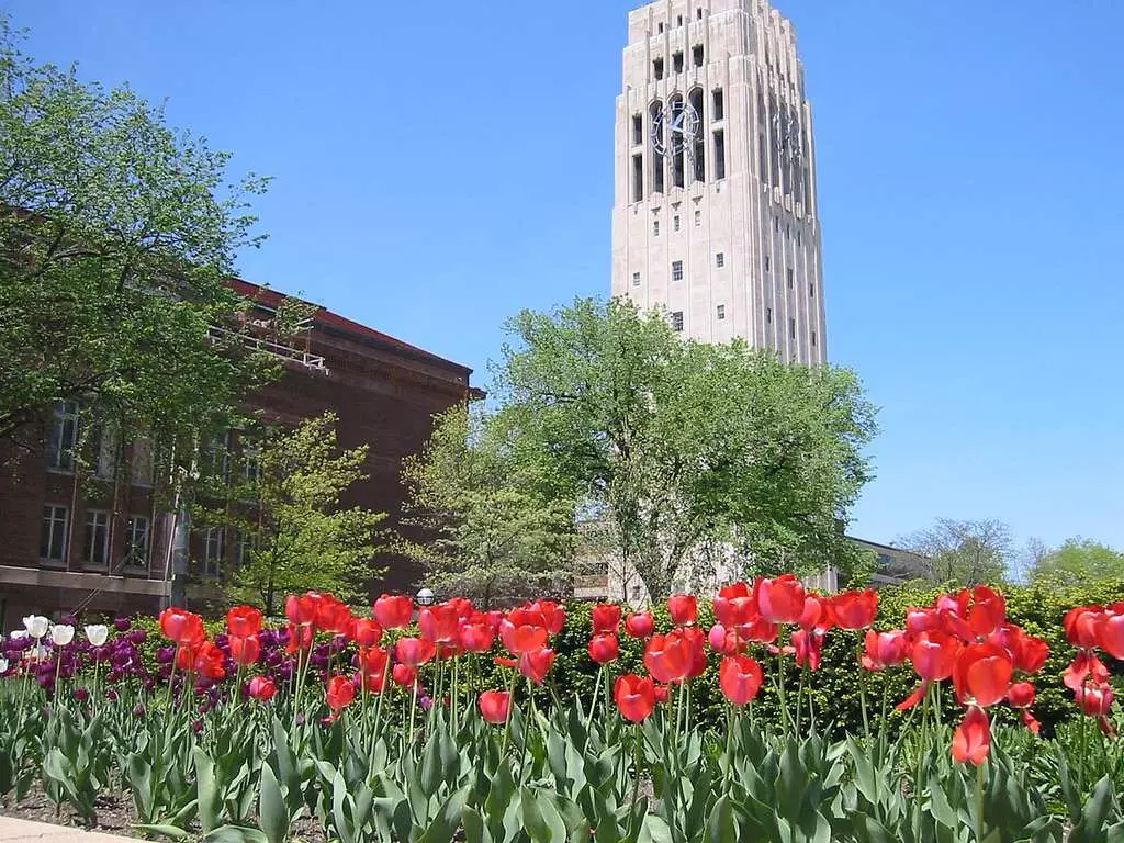 Chuo Kikuu cha Michigan Tower