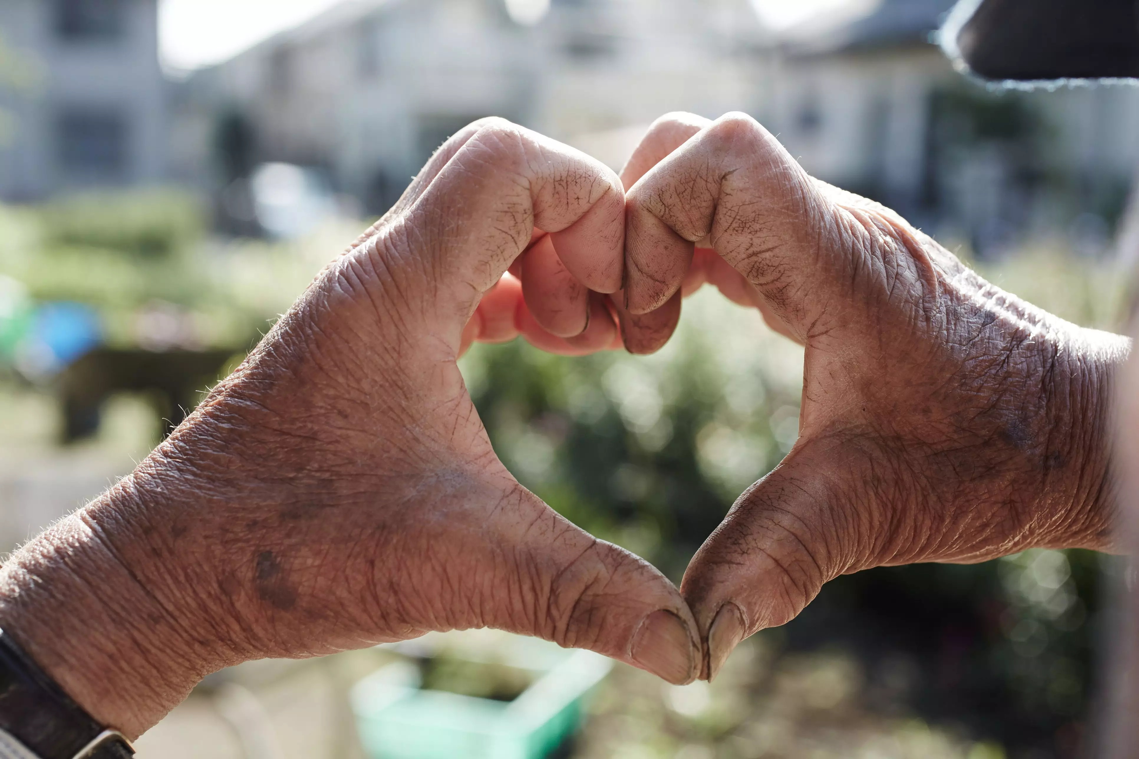 Una guida per San Valentino in Giappone