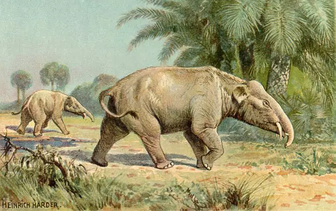 paleomastodont