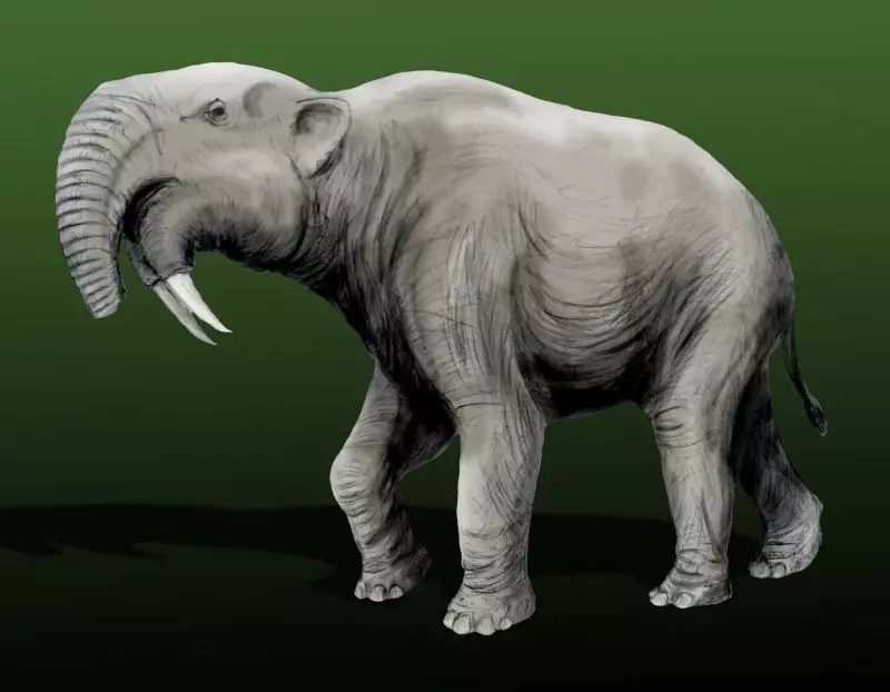 Espesye sa tanom nga bulak ang Deinotherium giganteum