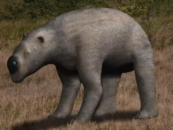 Diprotodon