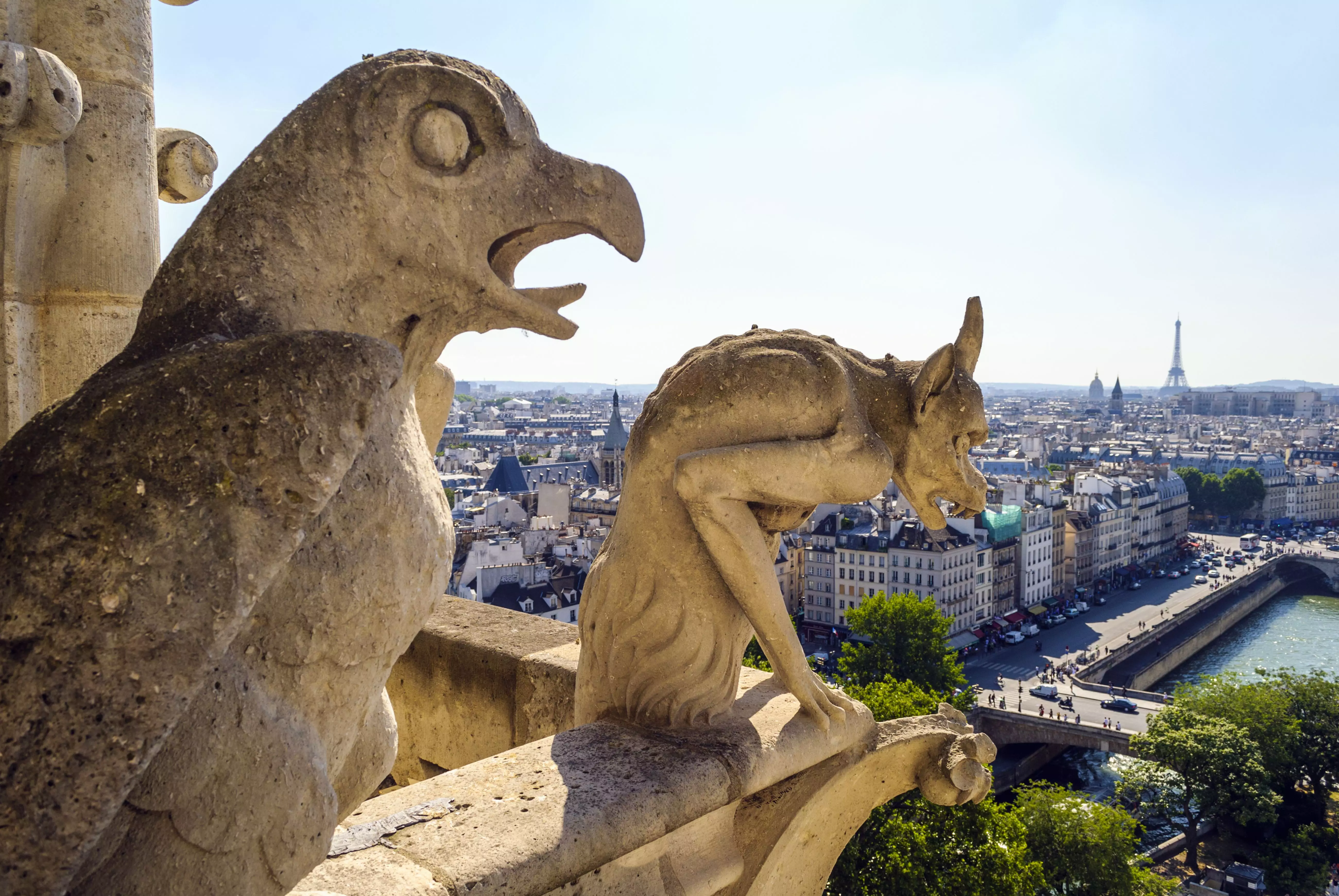 Gargoyles op Notre Dame Cathedral yn Parys