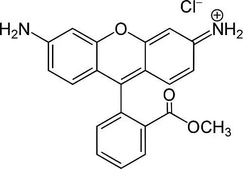 Dies ist die chemische Struktur von Rhodamin 123.