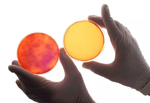 Tieto Petriho misky ilustrujú sterilizačné účinky ionizujúceho vzduchu na rast Salmonella.