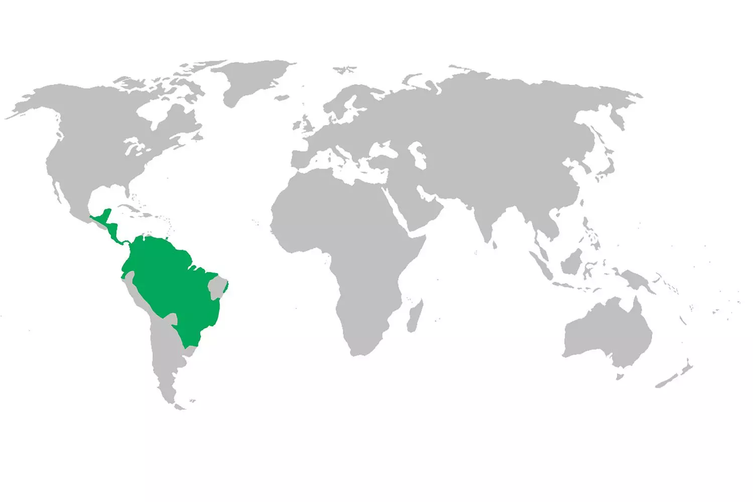 Mapa de distribuição do macaco bugio