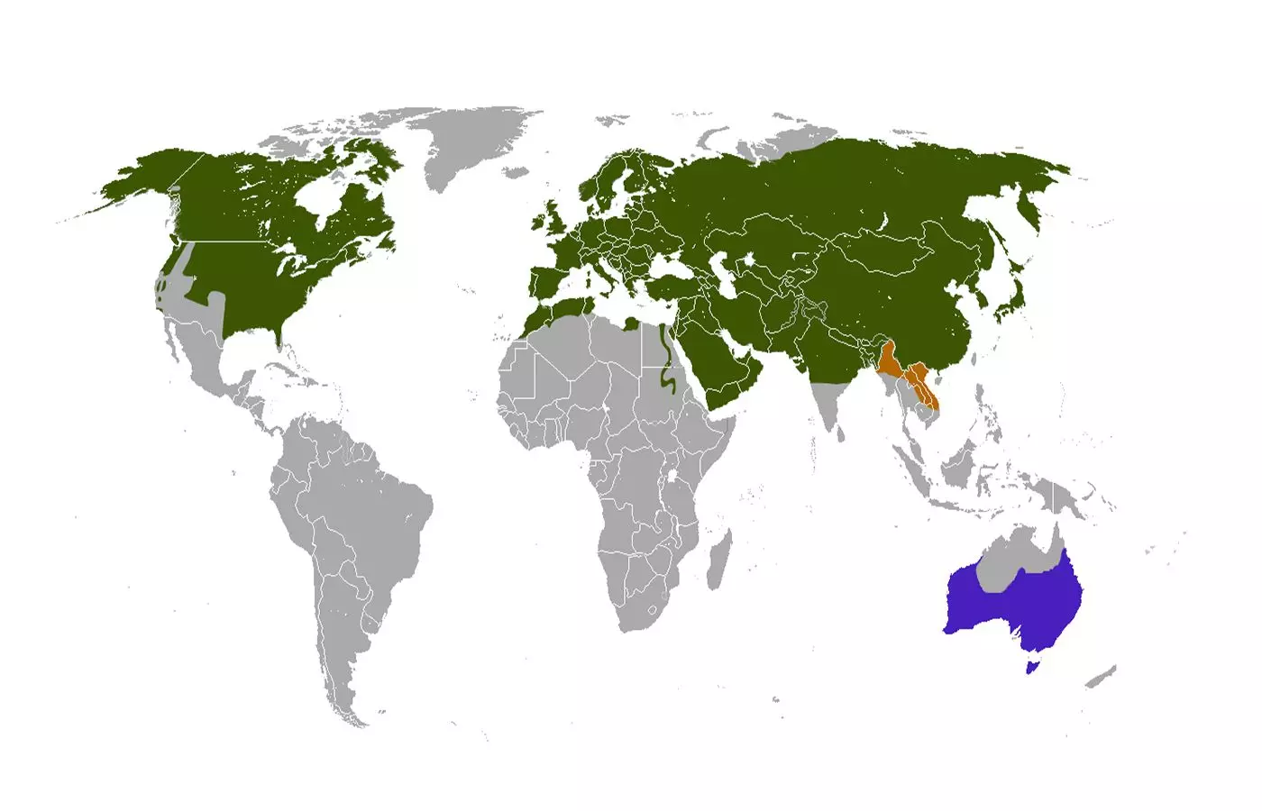 Distribució de la guineu vermella