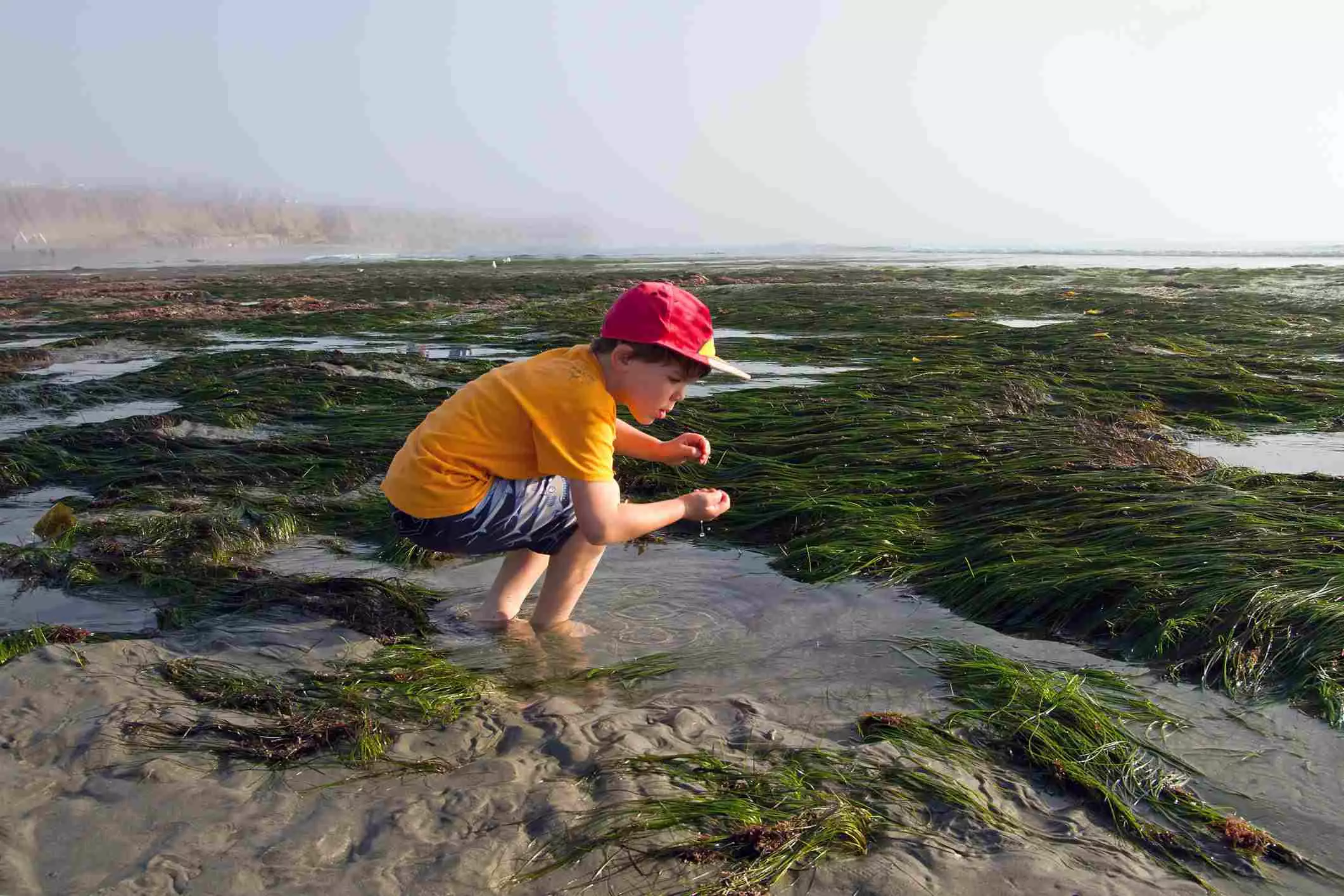 Mnyamata mu Dziwe la Mafunde pa Low Tide