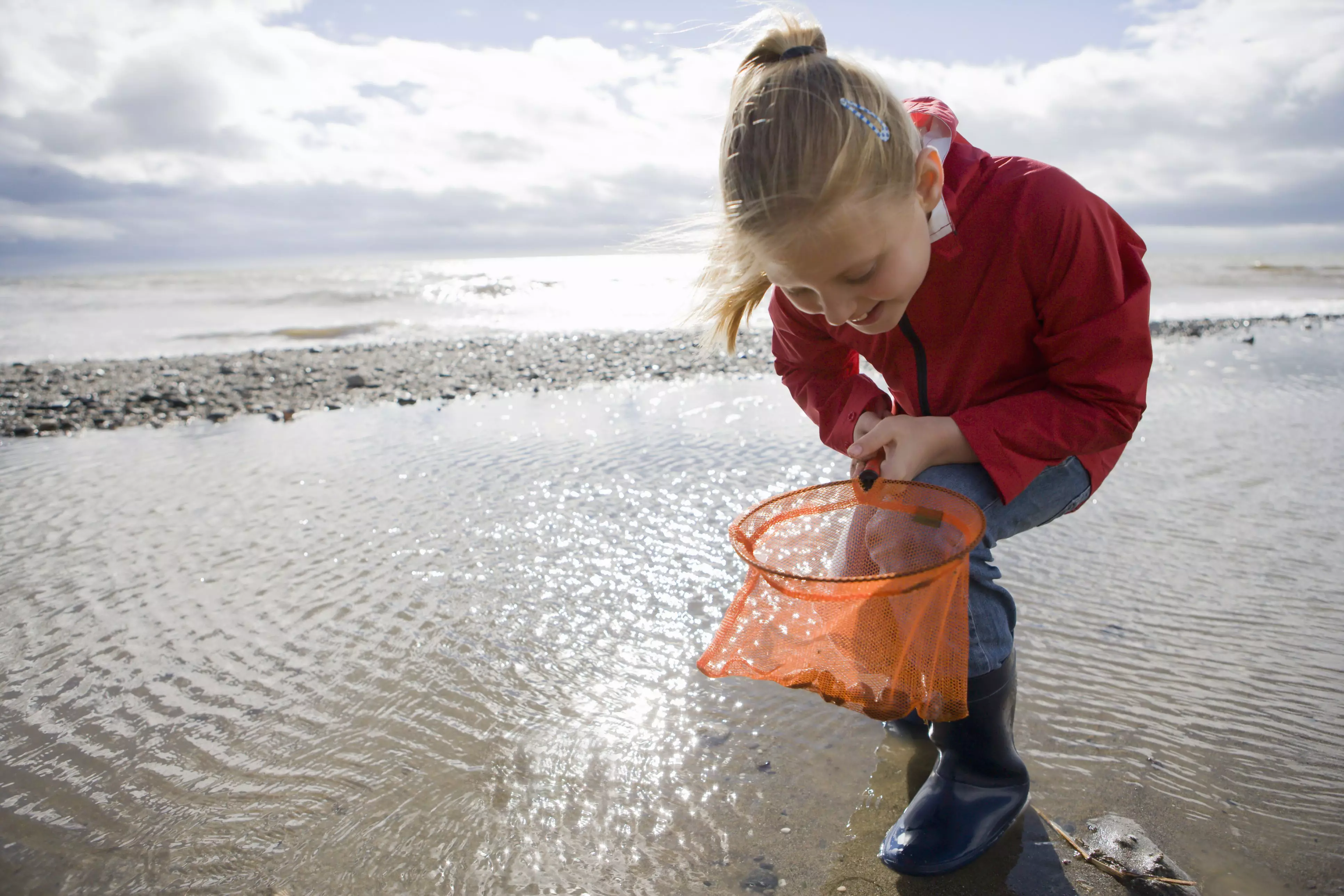 jeune fille, regarder, dans, résille, à, plage