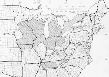 Range of Rock Elm