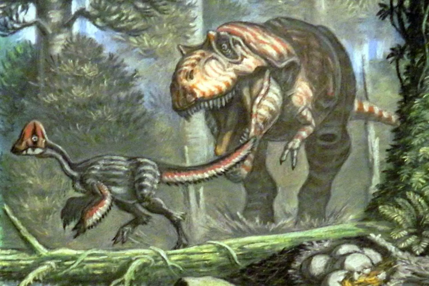 Albertosaurus yn hela cirostenotes