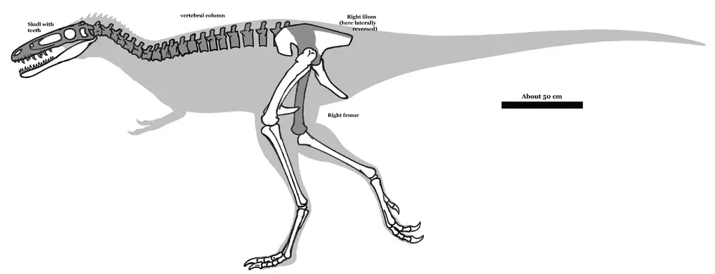 Les 10 animaux préhistoriques les plus difficiles à prononcer (et à épeler) 15380_10