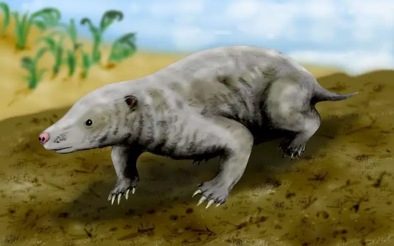 Fruitafossor, un mamífero prehistórico de Colorado