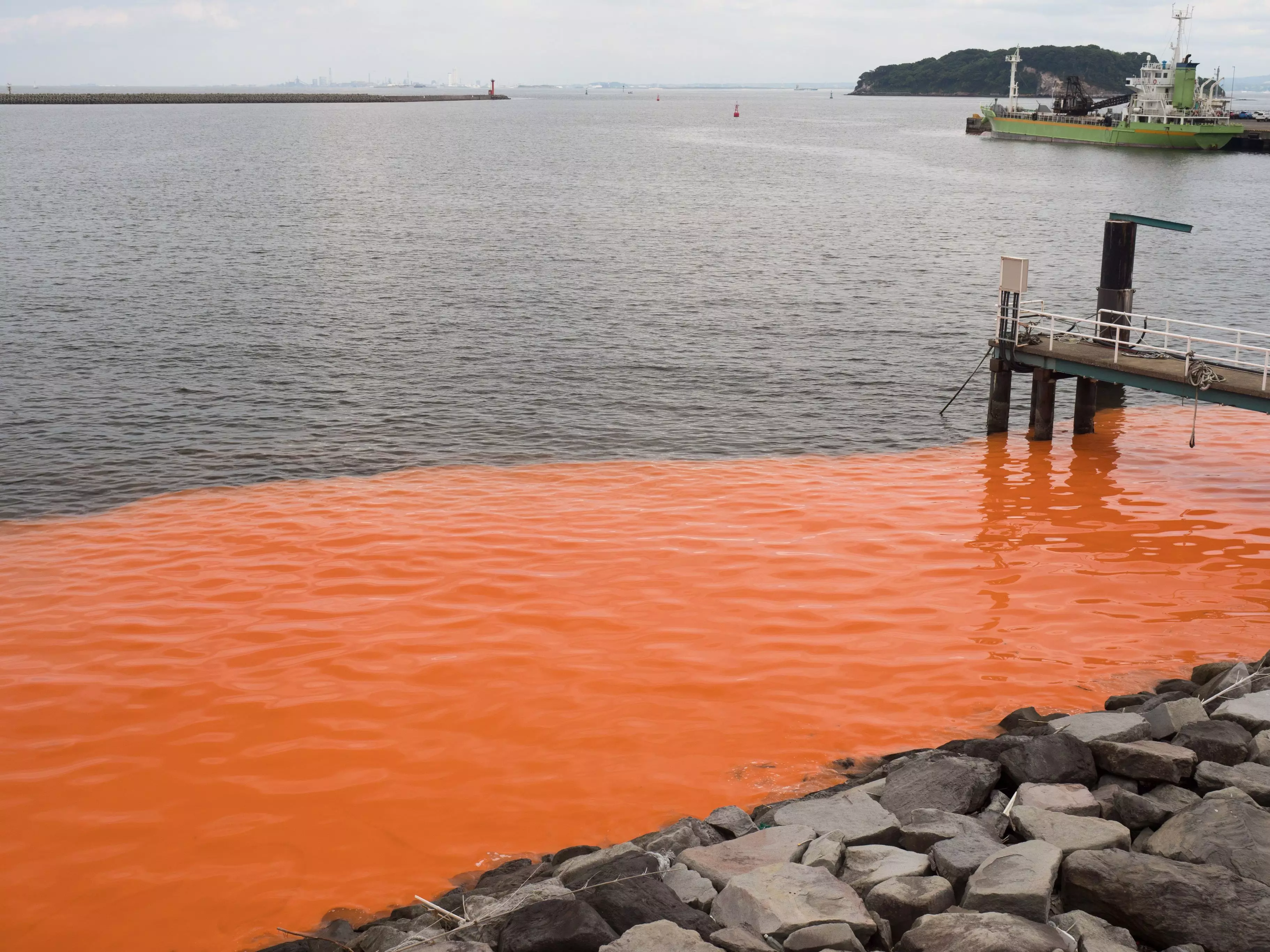 La marea vermella és una forma especial d'eutrofització. Els organismes de la marea vermella alliberen toxines i desoxigenen l'aigua.