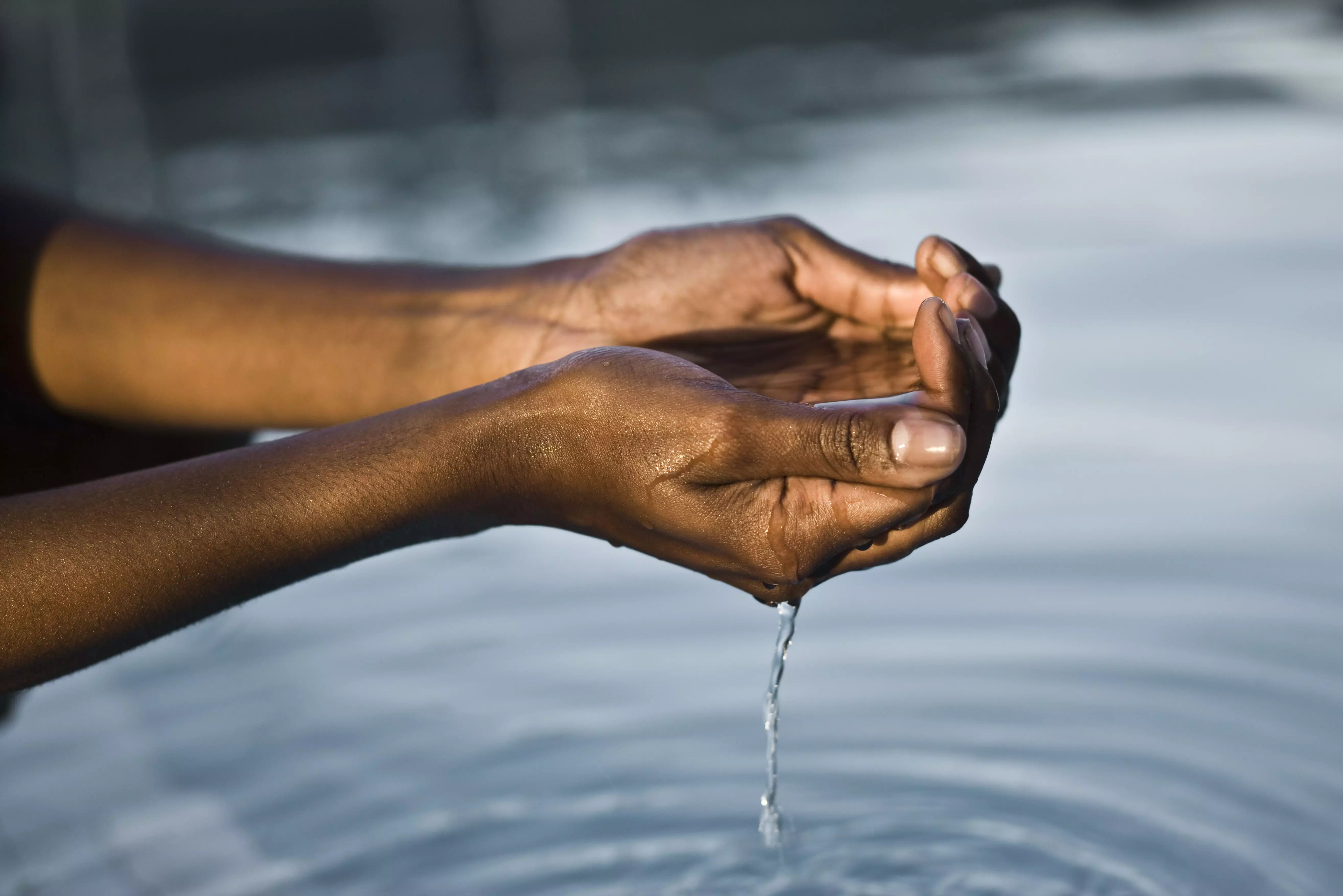 Lakukan bagianmu! Perhatikan air yang Anda gunakan dan bagaimana komunitas Anda dapat mengurangi pelepasan nutrisi yang berpotensi berbahaya.