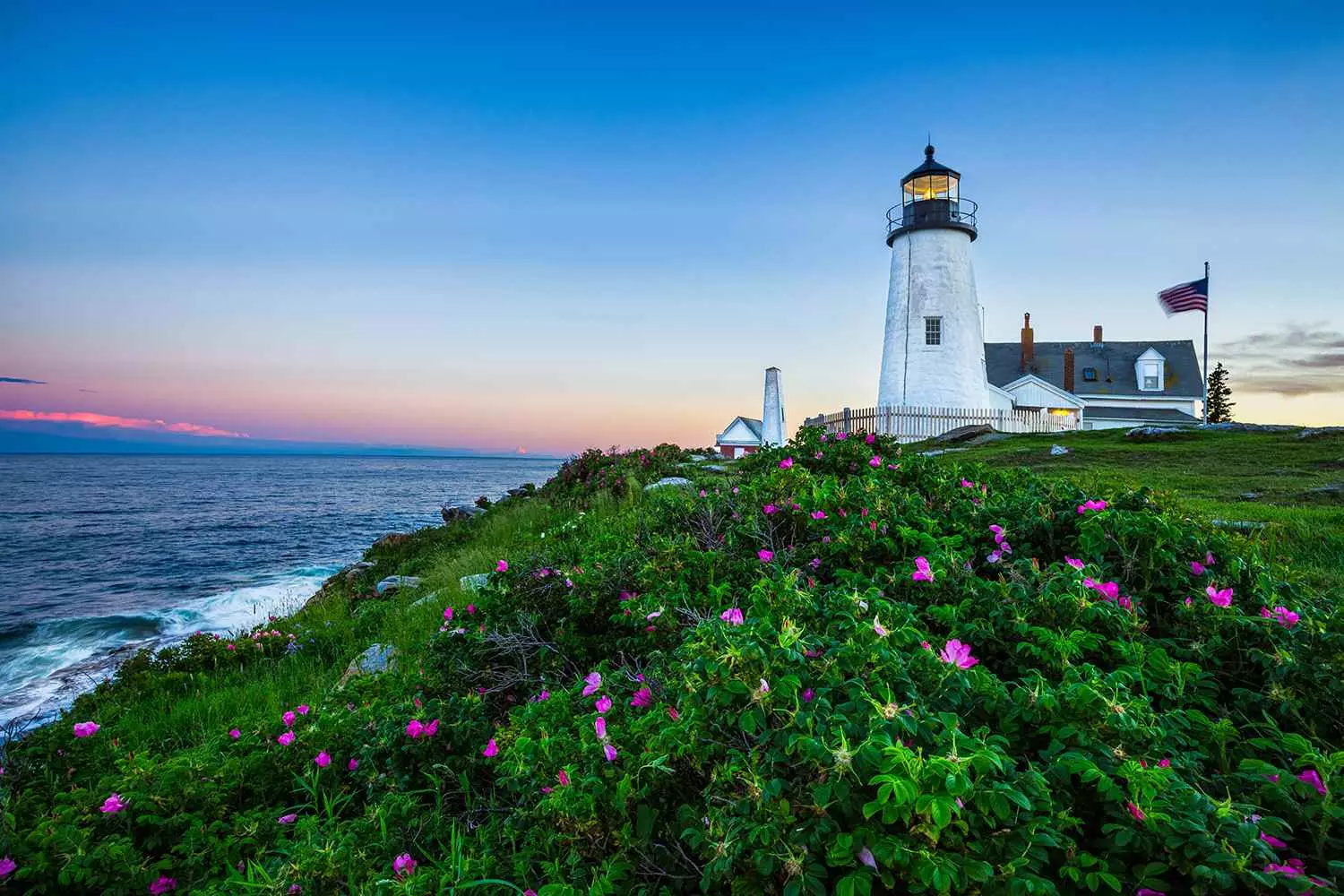 Pemaquid vuurtoren met roze rozen