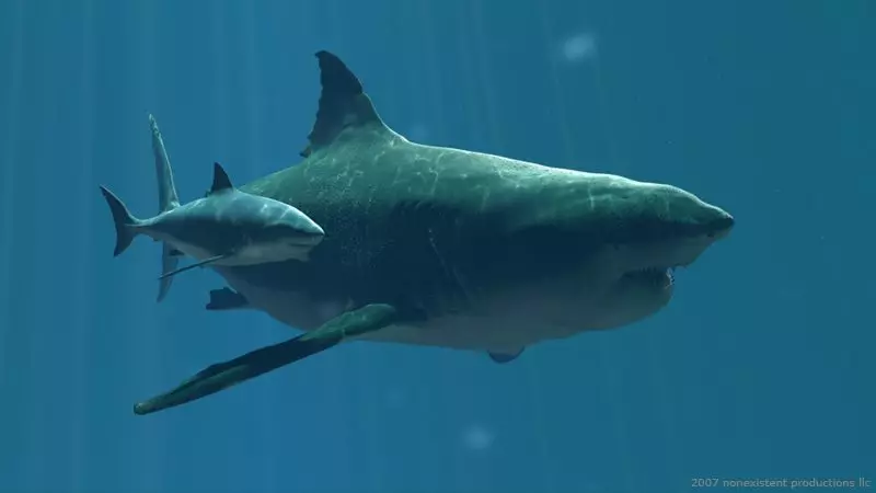 megalodon ja pienempi megalodon