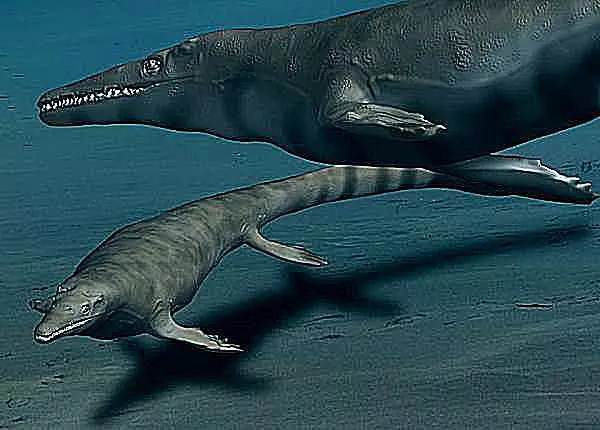 Mosasaurus