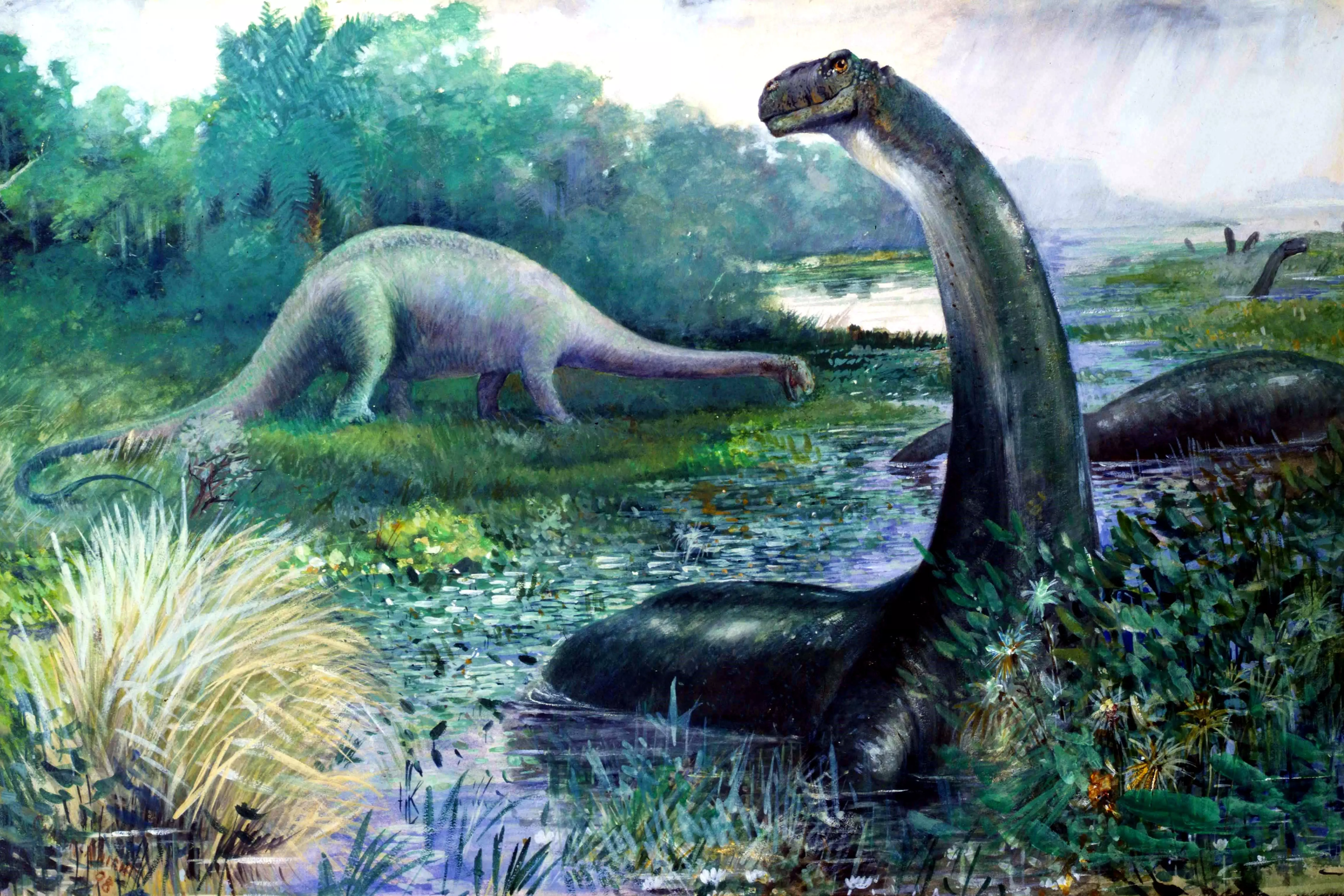 Устаревшая картина 1897 года с изображением бронтозавра, ныне известного как апатозавр, с изображением неправильной формы головы и образа жизни.