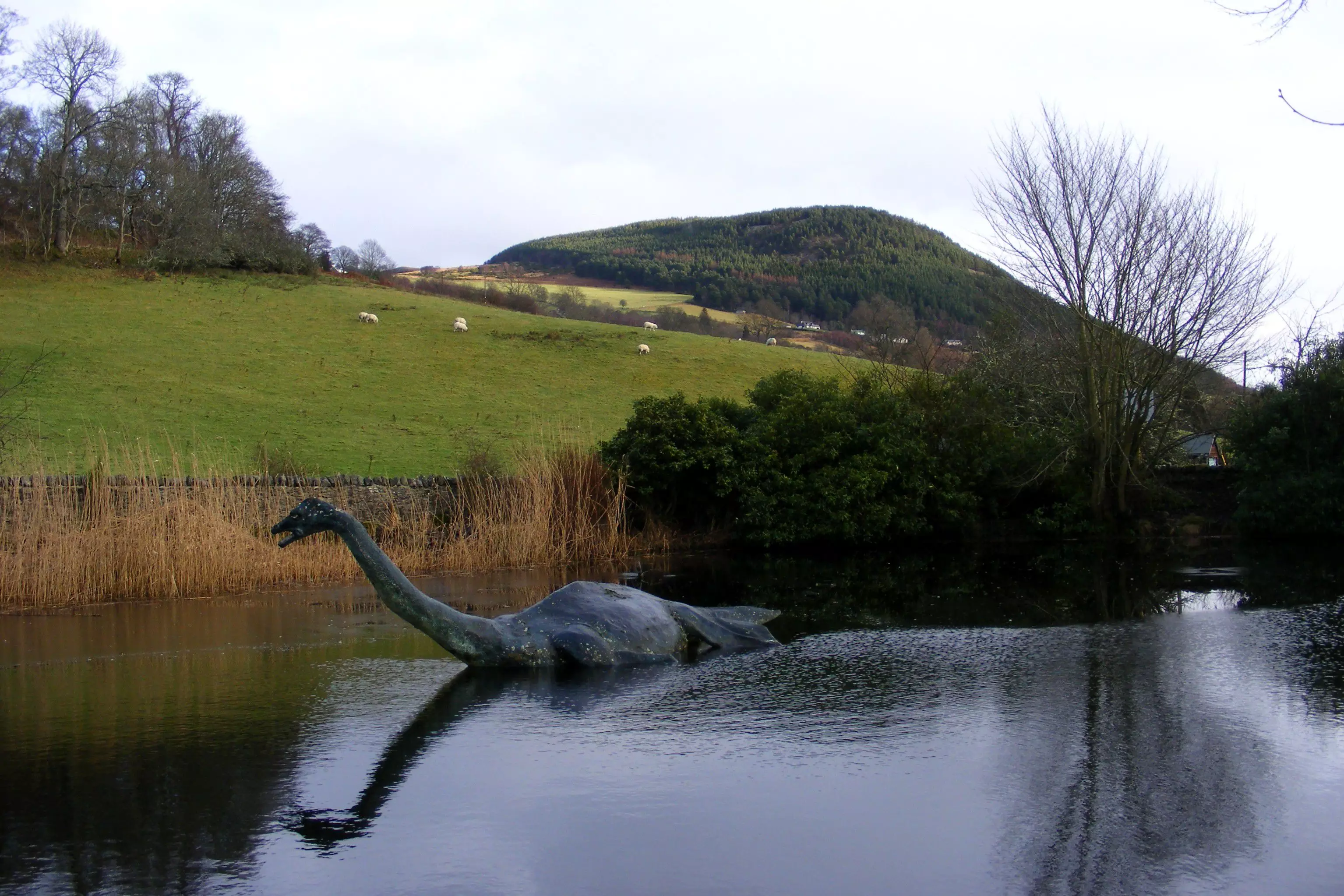 نيسي ، المخلوق الأسطوري الذي يعيش في بحيرة لوخ نيس ، اسكتلندا