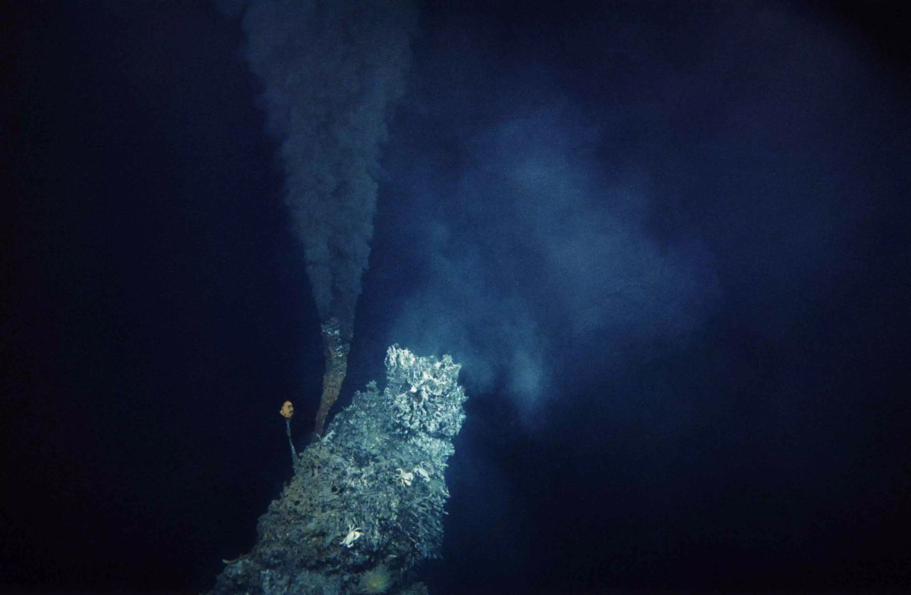 Ojii Smoker hydrothermal vent na Pacific Ocean.