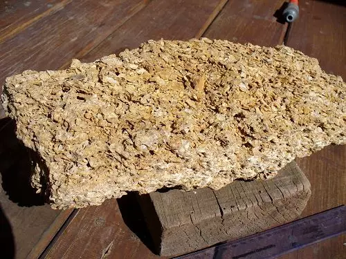 Ang Coquina ay isang uri ng limestone na binubuo ng mga fragment ng shell fossil