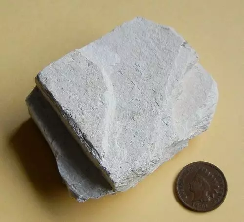 Glatte, graue Kieselgur ist ein ungewöhnliches und nützliches Gestein, das aus den mikroskopisch kleinen Schalen von Kieselalgen besteht