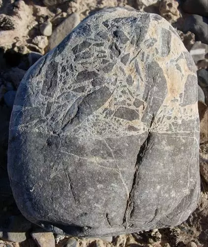 Brekzie ist ein Gestein mit scharfkantigen Bruchstücken in einer feinkörnigen Grundmasse. Dieses Exemplar aus Upper Las Vegas Wash in Nevada ist wahrscheinlich eine Verwerfungsbrekzie