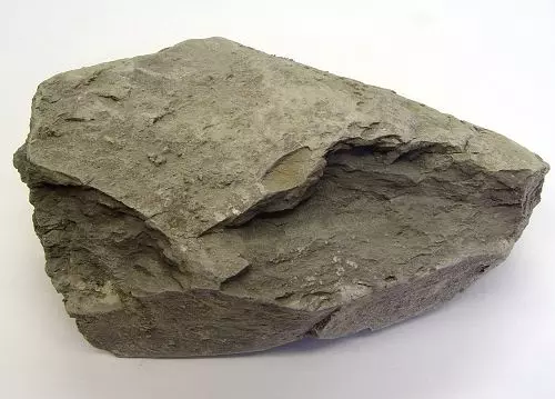 Ang Claystone ay isang napaka-fine-grained na sedimentary rock na binubuo ng karamihan sa clay