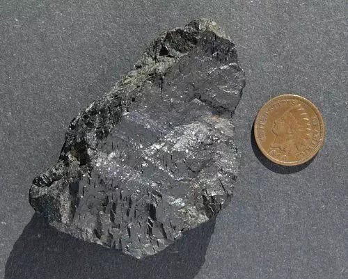 Diese Kohle aus einer Mine in Utah ist ein schwarzes, kohlenstoffreiches Gestein, das hauptsächlich aus alten Pflanzenresten stammt
