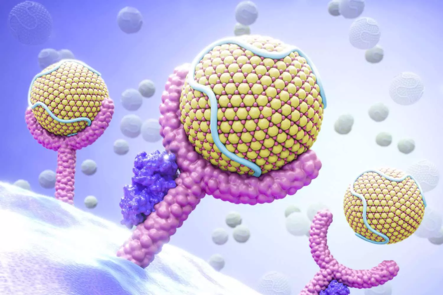 Lipoproteins များ