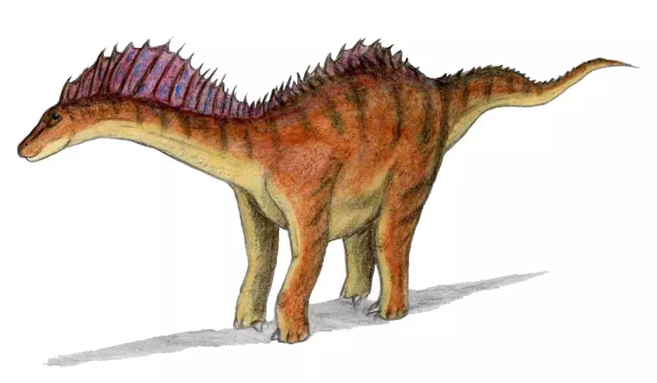 Amargasaurus