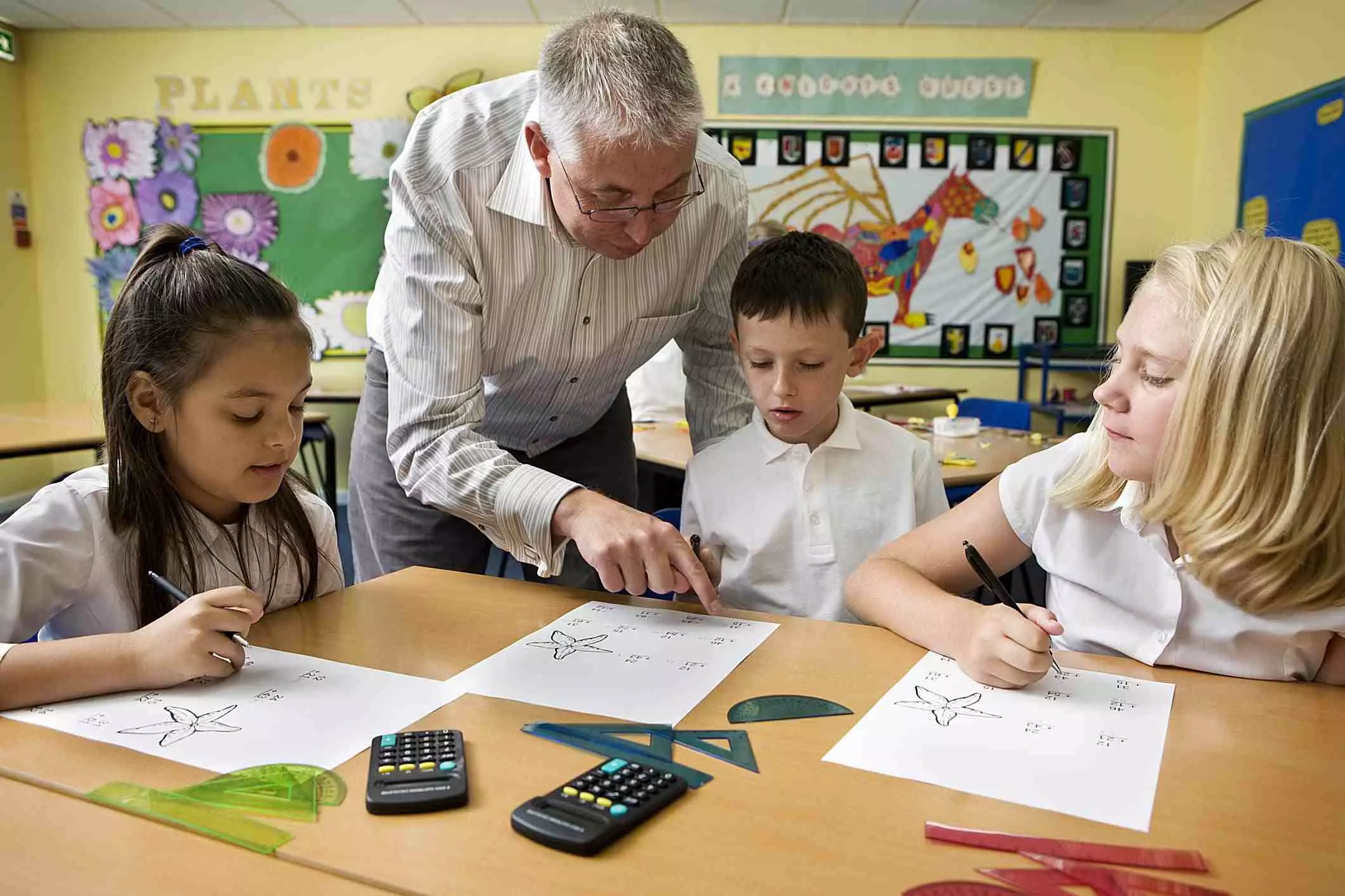 In learaar helpt bern mei wurkblêden