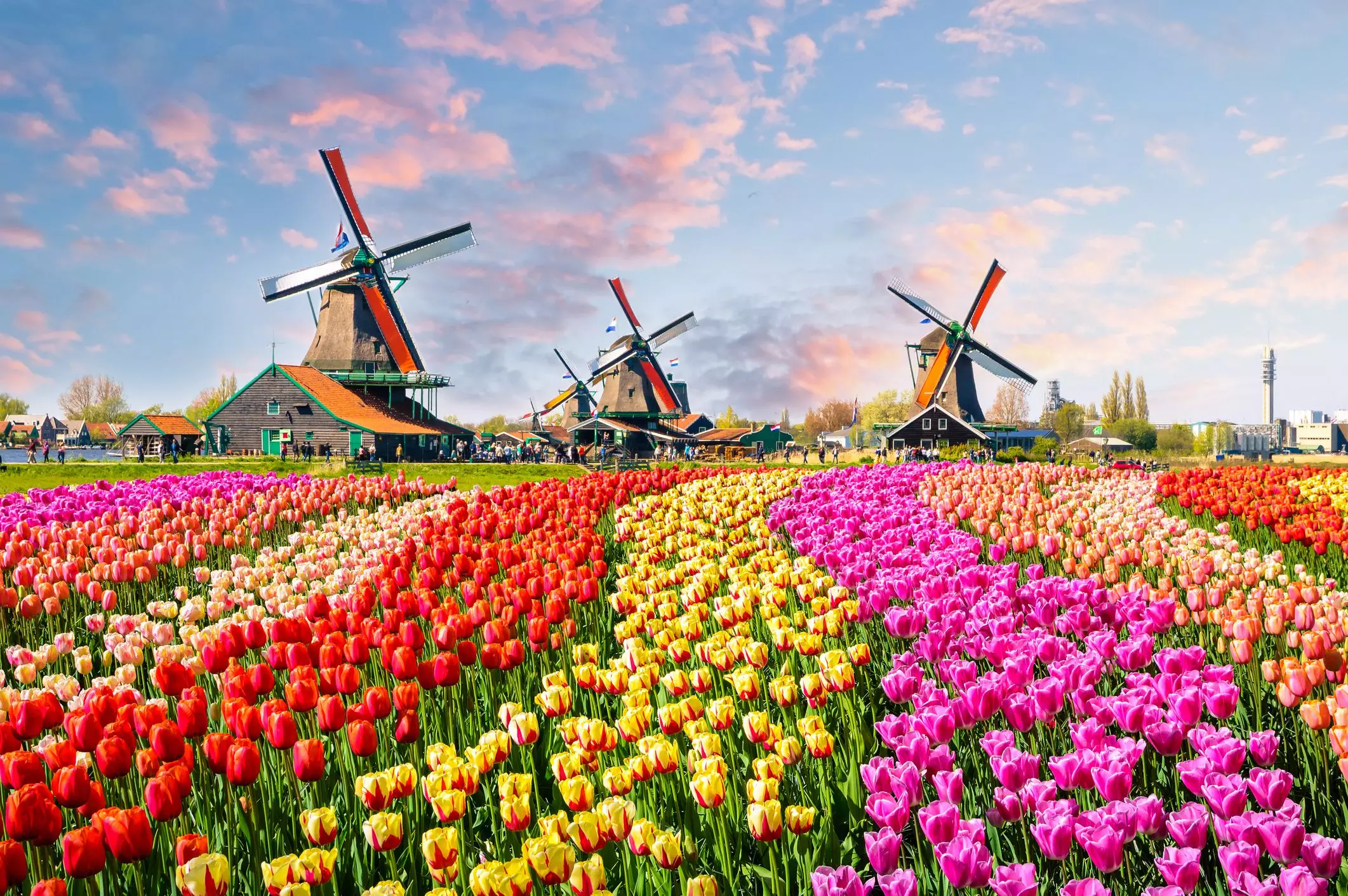 Nederland - Geografie, Overheid en Geschiedenis