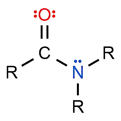 Kini ang kinatibuk-ang istruktura sa amide functional group.