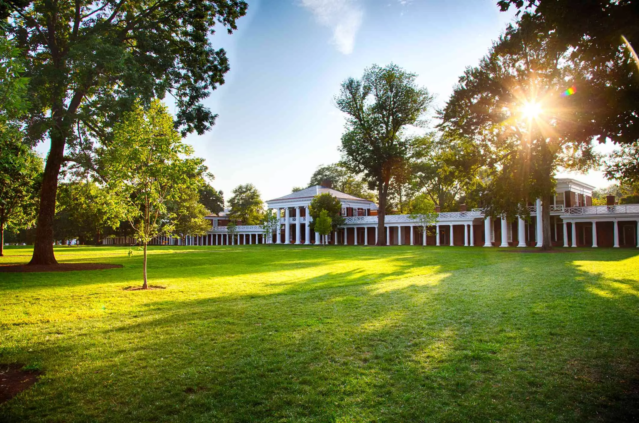 Der Rasen an der University of Virginia