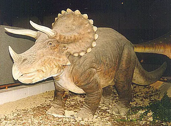 tricératops
