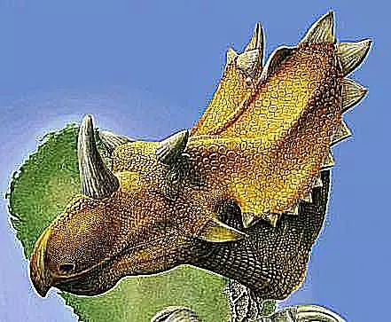 utahceratops ua