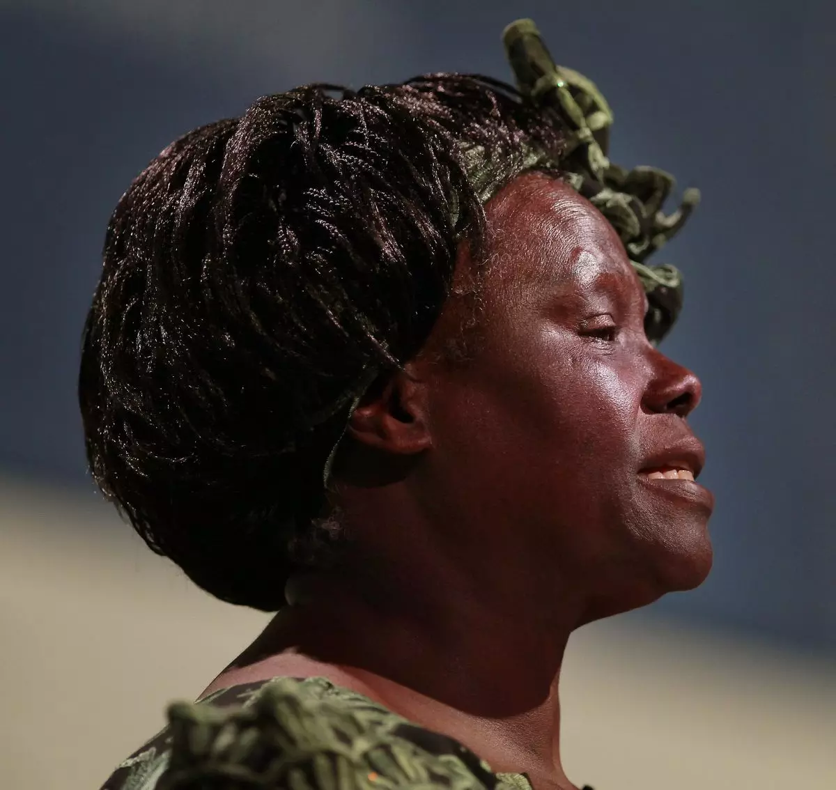 Wangari Maathai, Oṣu kejila ọdun 2009