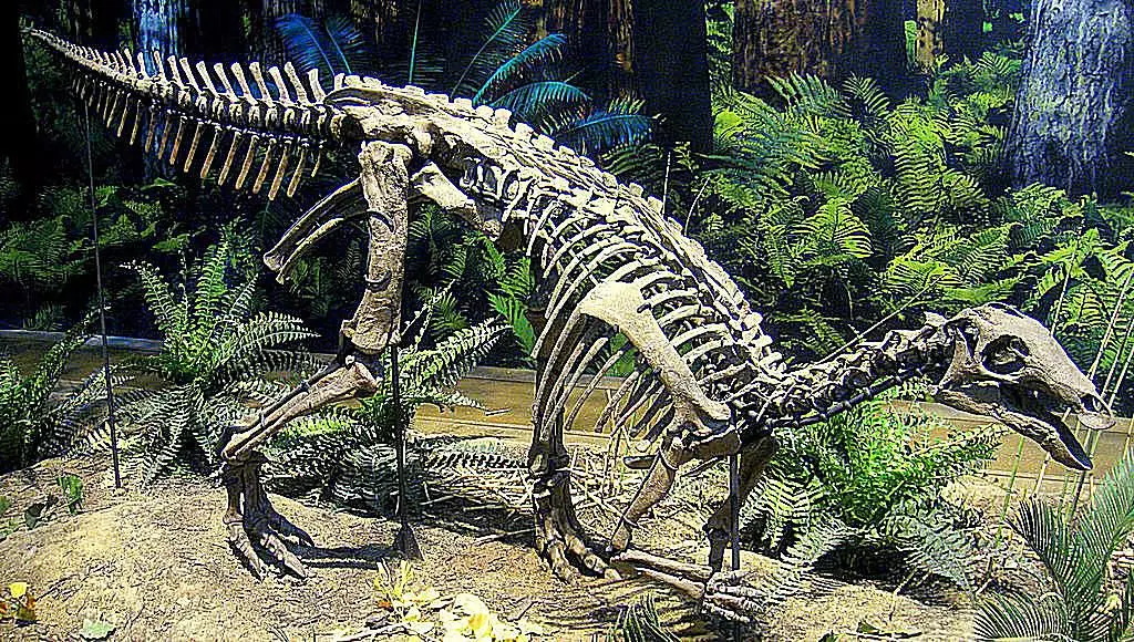 Imaxes e perfís de dinosauros ornitópodos