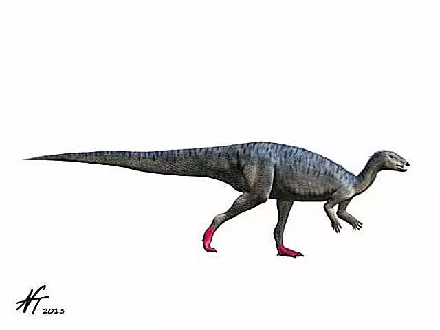 Elrhazosaurus