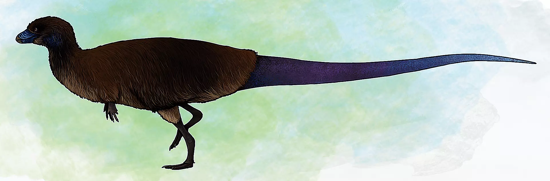 fabrosaurus