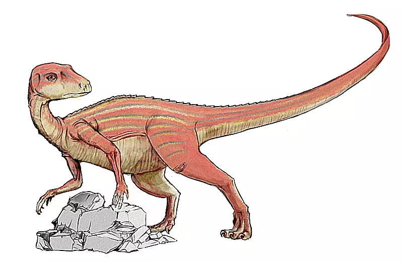 Abrictosaurus