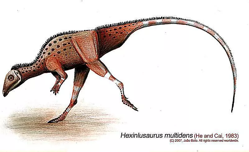 hexinlusaurus