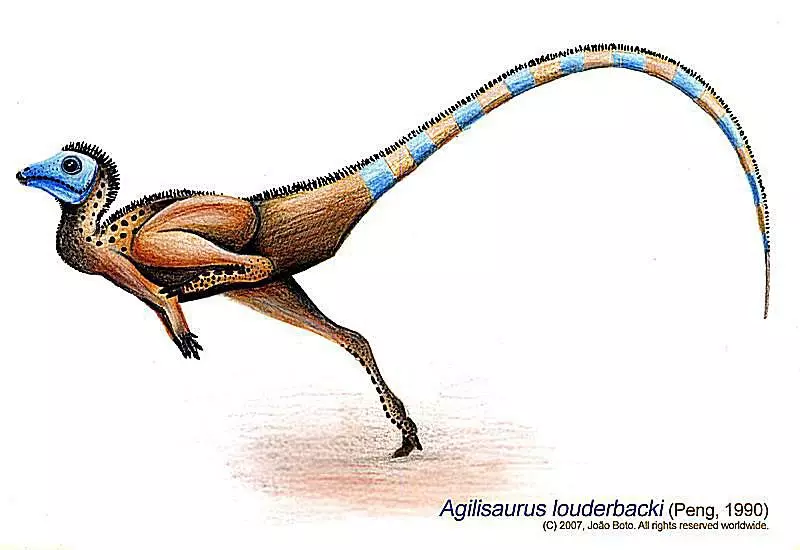 Agilisaurus